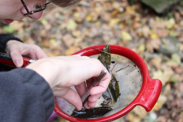 Our Story - Bluegrass Greensource