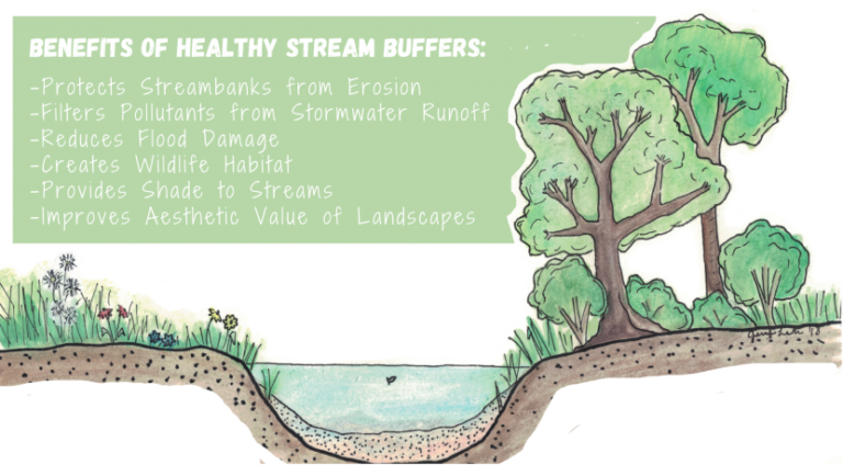 Riparian Buffer Program - Bluegrass Greensource