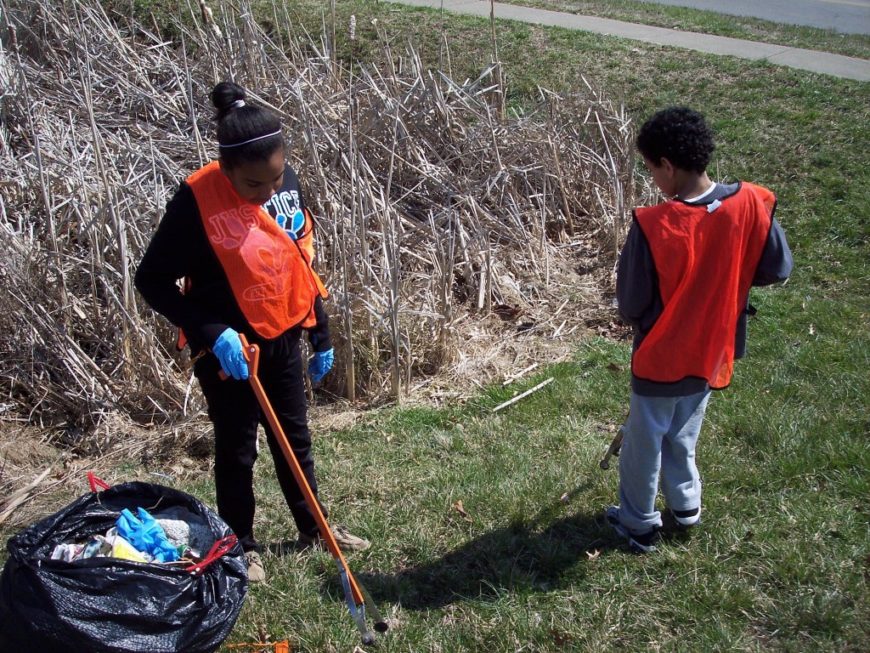 Litter - Bluegrass Greensource