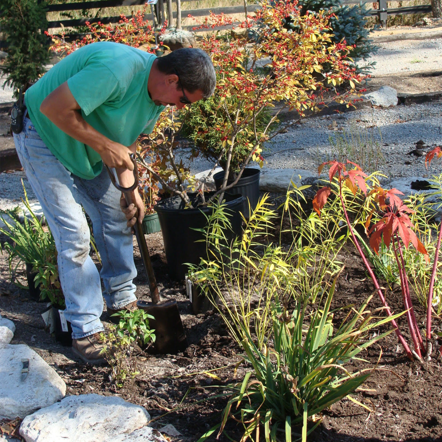 Greenfest - Bluegrass Greensource