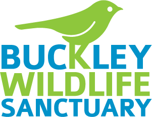 Buckley Wildlife Sanctuary - Bluegrass Greensource