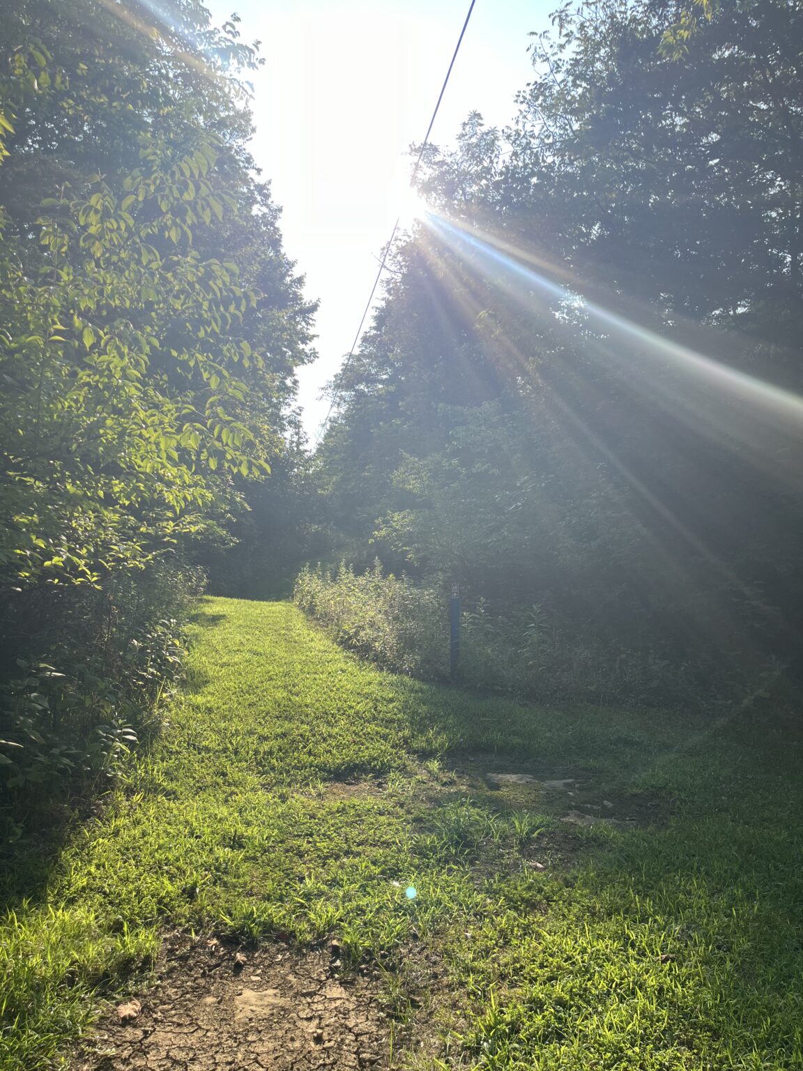 Events from July 26 – September 6 – Bluegrass Greensource